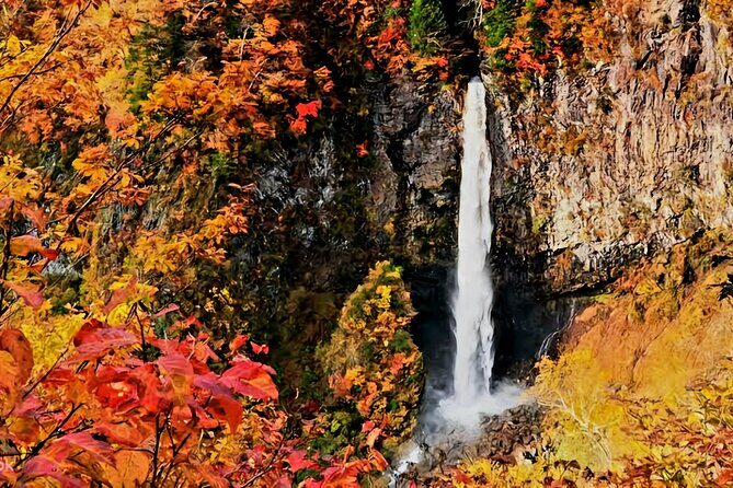 Full Day Private Tour in Nikko - What the Tour Includes and How It Works