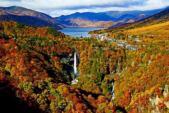 Full Day Private Tour in Nikko - Practical Details and What You’ll Appreciate