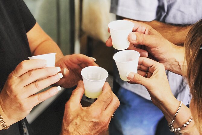 Full Day Private Tour in Pompeii, Vesuvio and Sorrento - Who Should Consider This Tour?