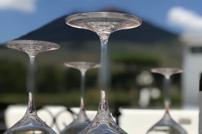 Full Day Private Tour in Pompeii, Vesuvio and Sorrento - Final Thoughts