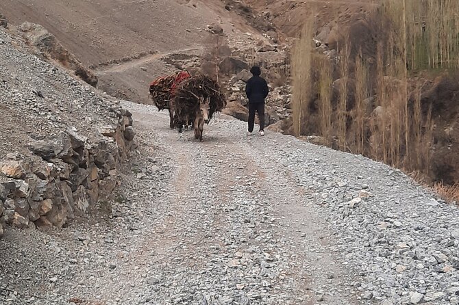 Full Day Private Tour in Seven Lakes from Samarkand - Who This Tour Is Best For