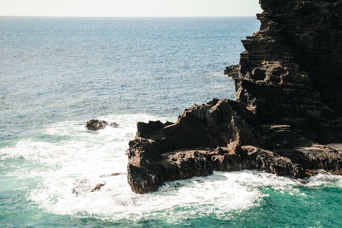 Full-Day Private Tour in South Shore of Oahu with Local Guide - Exploring the South Shore of Oahu: What to Expect