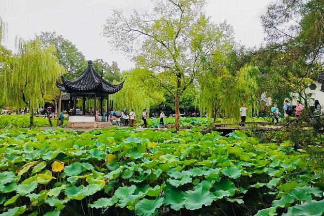 Full Day Private Tour Incredible Suzhou Highlight - The Sum Up