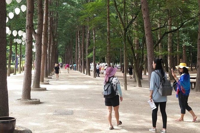 [ Full Day Private Tour ] Nami Island and Petite France - The Transportation Experience