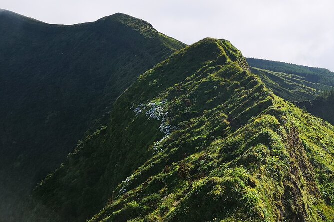 Full-Day Private Tour of Faial - Exploring Capelinhos Volcano