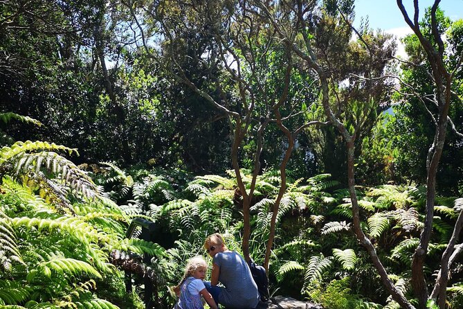 Full-Day Private Tour of Faial - Cabeço Gordo Caldera and Almoxarife Beach