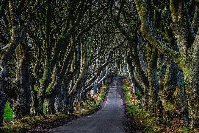 Full-Day Private Tour of Giants Causeway with Pick Up - Final Thoughts: Is This Tour Worth It?