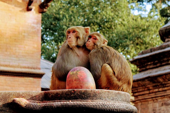 Full Day Private Tour of Kathmandu - UNESCO World Heritage Sites - FAQ