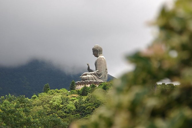 Full-Day Private Tour of Lantau Island including Big Buddha and Tai O - Practical Details and Considerations
