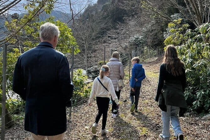 Full-day Private Tour of Miyama Thatched Village - The Value of the Experience