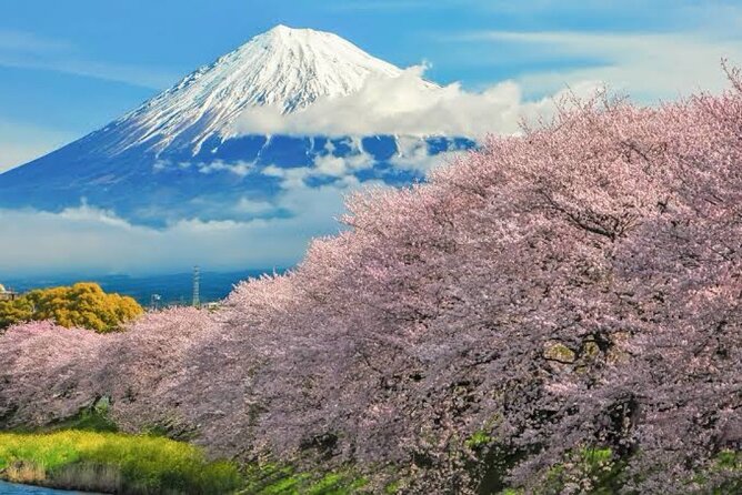 Full Day Private Tour of Mt Fuji - Itinerary
