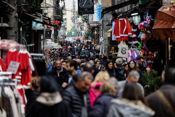 Full Day Private Tour of Naples and Vesuvius - Who Will Love This Tour?