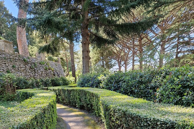 Full Day Private Tour of Pompeii and the Amalfi Coast - Customer Experiences and Feedback