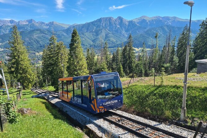 Full-Day Private Tour of Slovakia Treetop Walk and Zakopane - Key Points