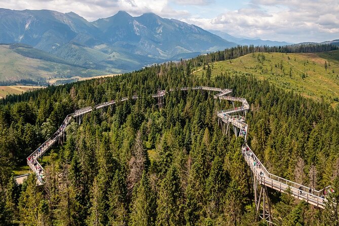 Full-Day Private Tour of Slovakia Treetop Walk and Zakopane - Authentic Experiences and Genuine Feedback