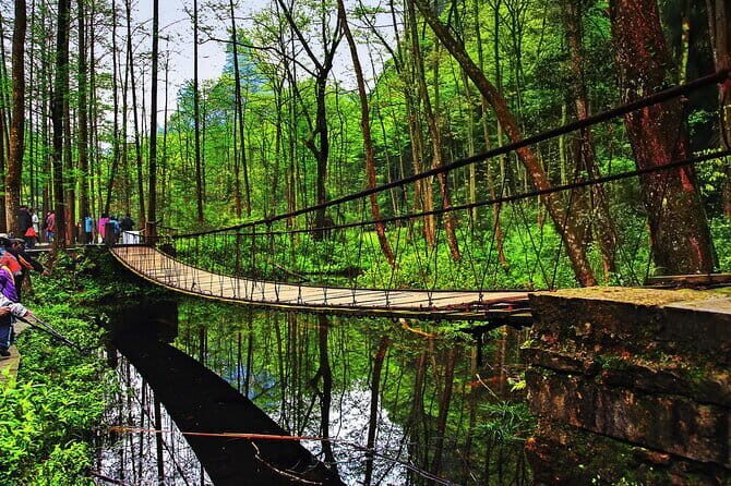 Full-Day Private Tour of Zhangjiajie National Forest Park - Key Points