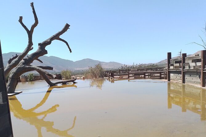 Full Day Private Tour or Guadalupe Valley Weekend - Exploring the Guadalupe Valley Private Tour: A Comprehensive Look