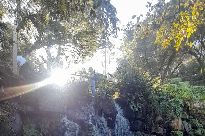 Full Day Private Tour Sintra Cape Roca Cascais up to 7 - What to Expect