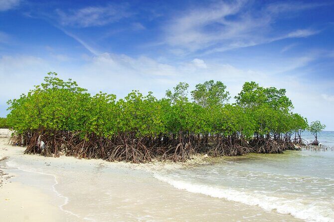 Full-Day Private Tour Siquijor Island - Exploring Siquijor with a Private Guide: What to Expect