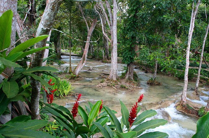 Full Day Private Tour to Blue Hole, Secret Falls & Dunn's River - The Sum Up