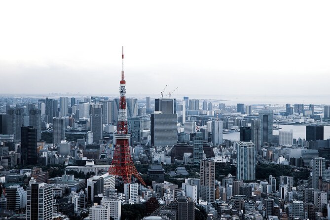 Full-Day Private Tour to Discover The Best of Tokyo - Itinerary Planning and Adjustments