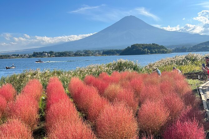 Full Day Private Tour to Mount Fuji and Hakone - Tour Overview