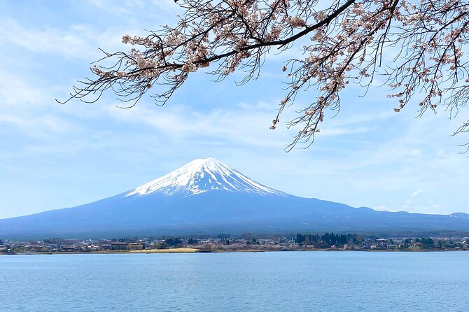 Full Day Private Tour to Mt Fuji by Luxury Vehicle - Lunch and Dining Experiences