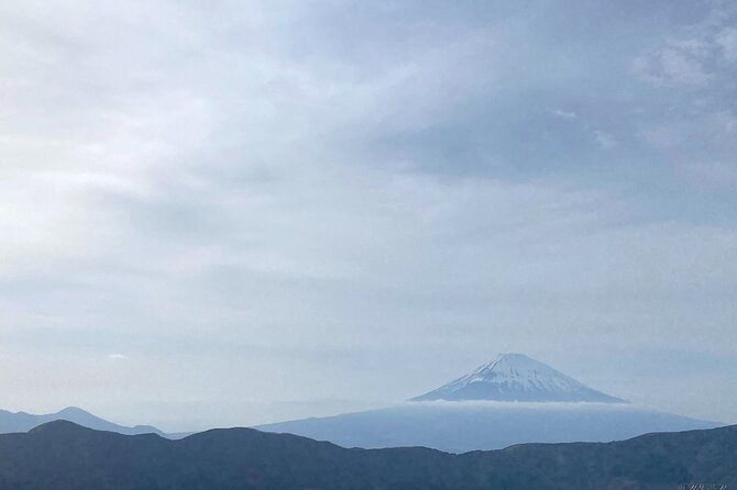 Full Day Private Tour to Mt Fuji by Luxury Vehicle - Travel Time and Itinerary Flexibility