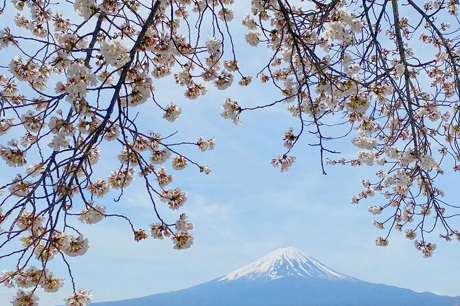 Full Day Private Tour to Mt Fuji by Luxury Vehicle - Traveler Feedback and Experiences