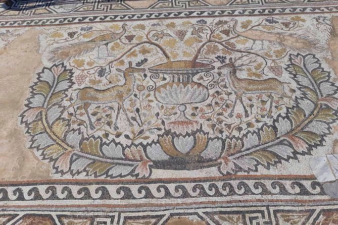 Full-Day Private Tour to Ohrid and Bitola from Skopje - Key Points