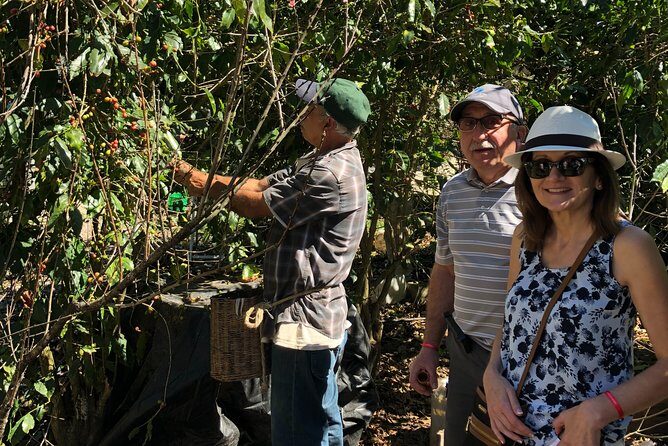 Full-Day Private Tour to San Sebastian del Oeste with Guide - Final Thoughts