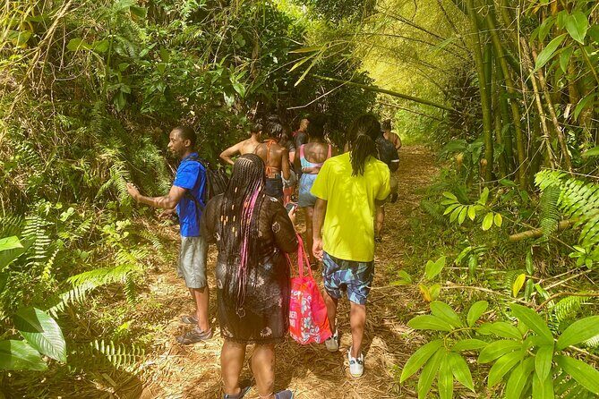 Full-Day Private Tour to Tinajas Waterfalls in El Yunque - FAQ: Your Questions Answered