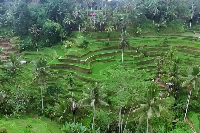 Full Day Private Tour to Ubud Waterfall and Uluwatu Sunset - Stop 4: Uluwatu Temple