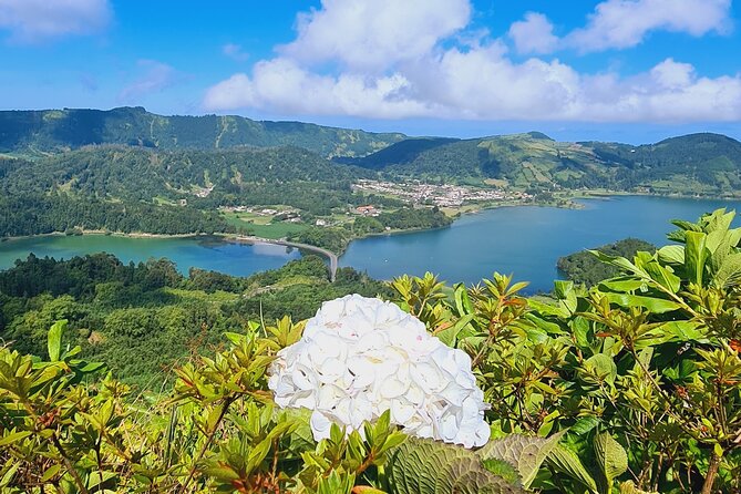 Full Day Private Tour West & East in São Miguel Island - Highlights of the Tour