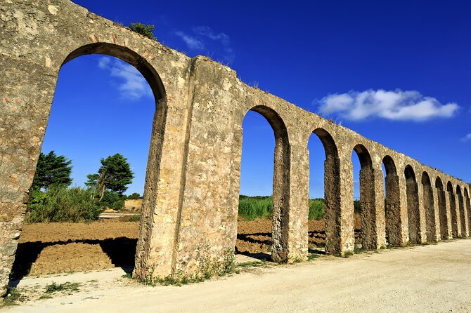 Full Day Private Transfer - From Lisbon to Porto Tour - Authentic Experiences and Genuine Impressions