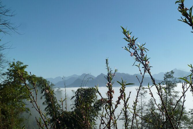 Full Day Private Trekking in Sapa Hmong - FAQ