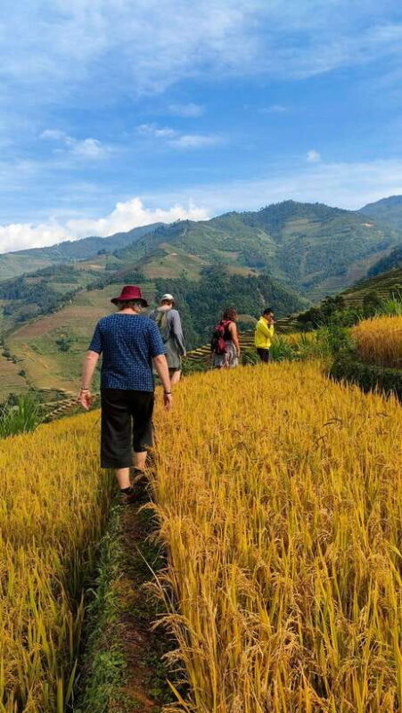 Full Day Private Trekking Mu Cang Chai - Authenticity and Quiet Beauty
