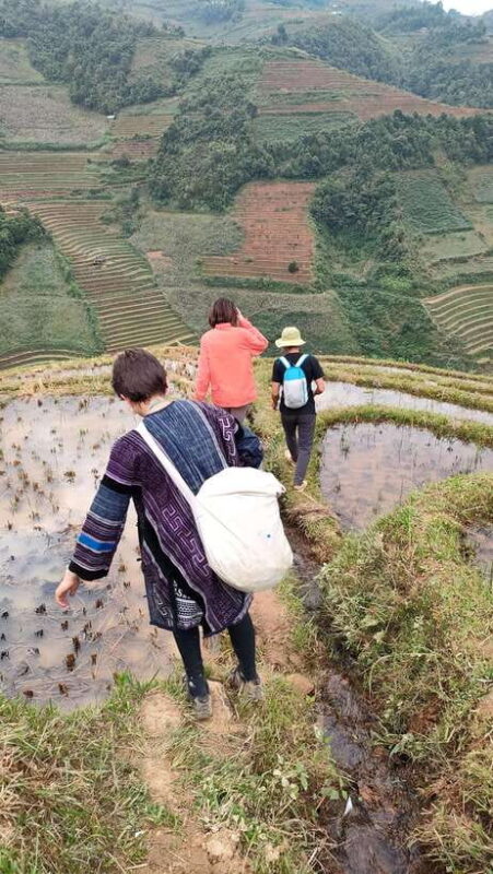 Full Day Private Trekking Mu Cang Chai - Real Traveler Insights