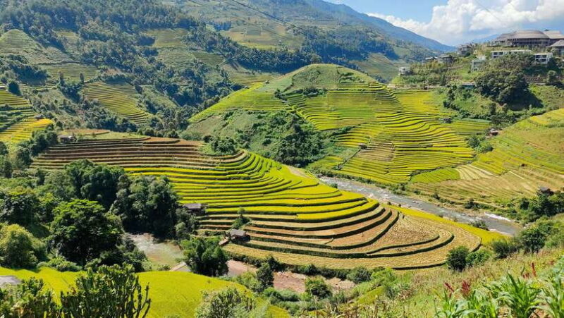 Full Day Private Trekking Mu Cang Chai - Who Should Consider This Tour?