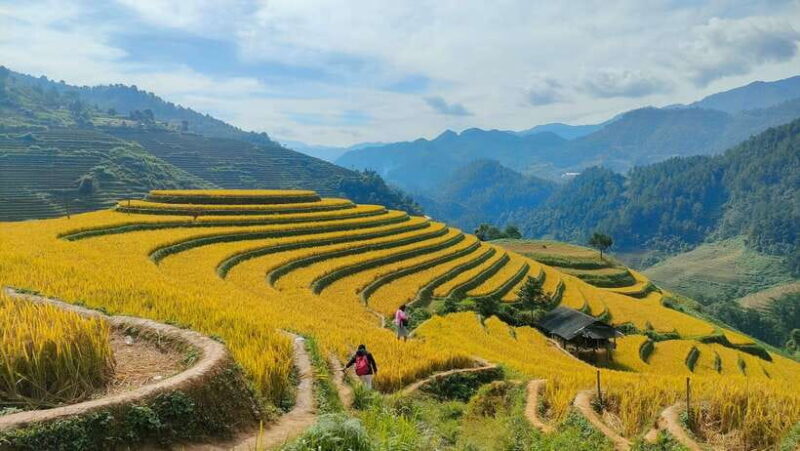 Full Day Private Trekking Mu Cang Chai - FAQs