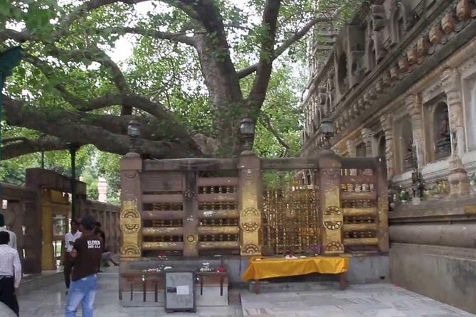 Full Day Private Trip to Bodhgaya from Varanasi - Why We Think This Tour Offers Great Value