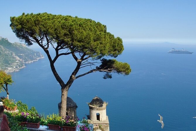 Full-Day Private VIP Boat Tour to Capri - Additional Information