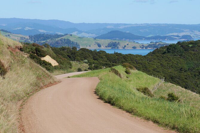 Full Day Private Waiheke Island Wine Tour Including Lunch - An In-Depth Look at the Waiheke Island Private Wine Tour