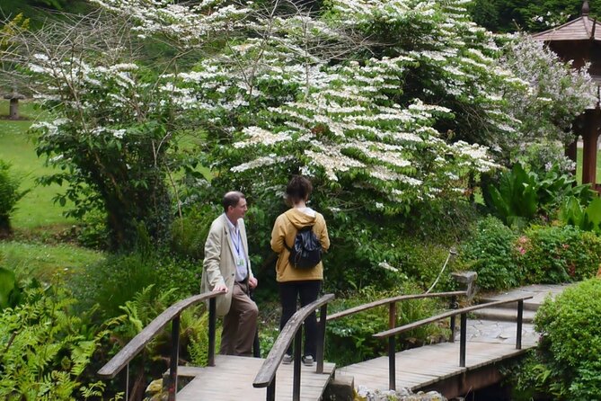 Full Day Private Wicklow Tour - Taking in Local Culture and History