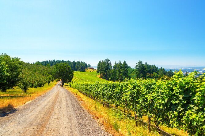 Full Day Private Willamette Valley Wine Tour from Portland - An Honest Look at a Premium Wine Experience