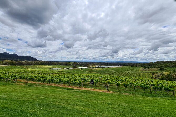 Full Day Private Wine Tour Exclusively Tailored To Suit You - Key Points