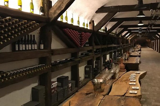 Full Day Private Wine Tour in Kakheti Region With Lunch and 3 Wine Tastings - Traveler Reviews and Feedback
