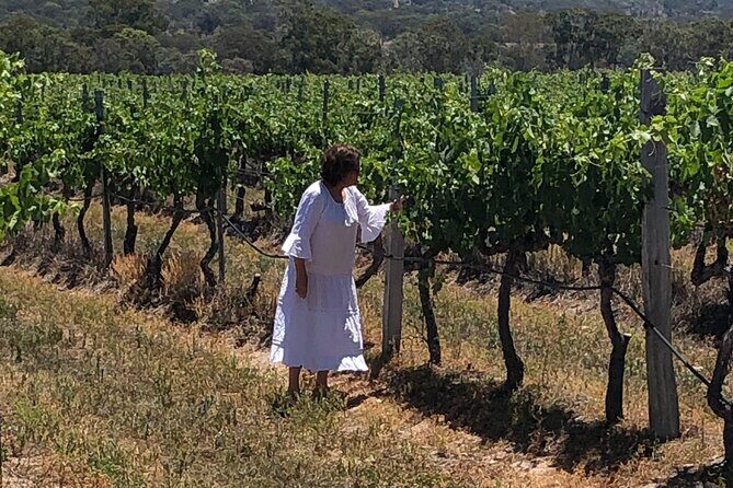 Full-Day Private Wine Tour of the Stanthorpe Area with Lunch - An In-Depth Look at the Tour Itinerary