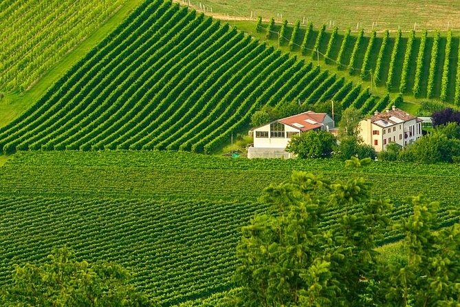 Full-Day Prosecco Tasting - 3 Wineries from Venice or Treviso - FAQ