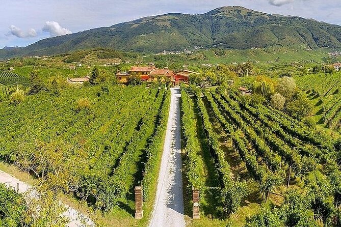 Full-Day Prosecco Tasting - 3 Wineries from Venice or Treviso - Final thoughts: Is this tour worth it?
